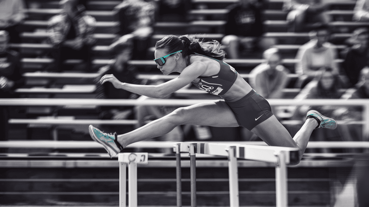 Kathryn Aragon Media